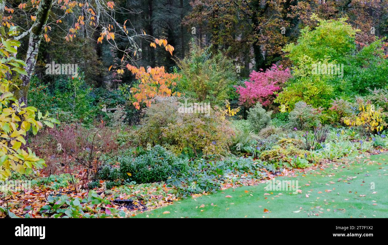 Garden trees border hi-res stock photography and images - Alamy