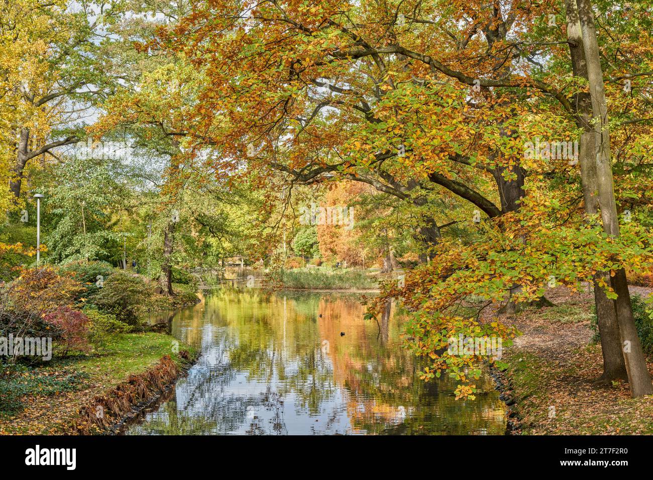 Rich superb multicolor autumn fall in Szczytnicki Park Wroclaw Lower ...