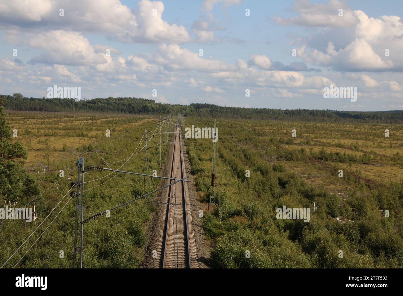 Railway track through nature in Sweden Stock Photo - Alamy
