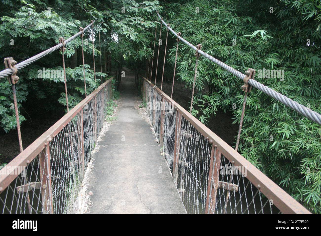 The Osun Grove in Oshogbo, Osun State. South West Nigeria Stock Photo ...