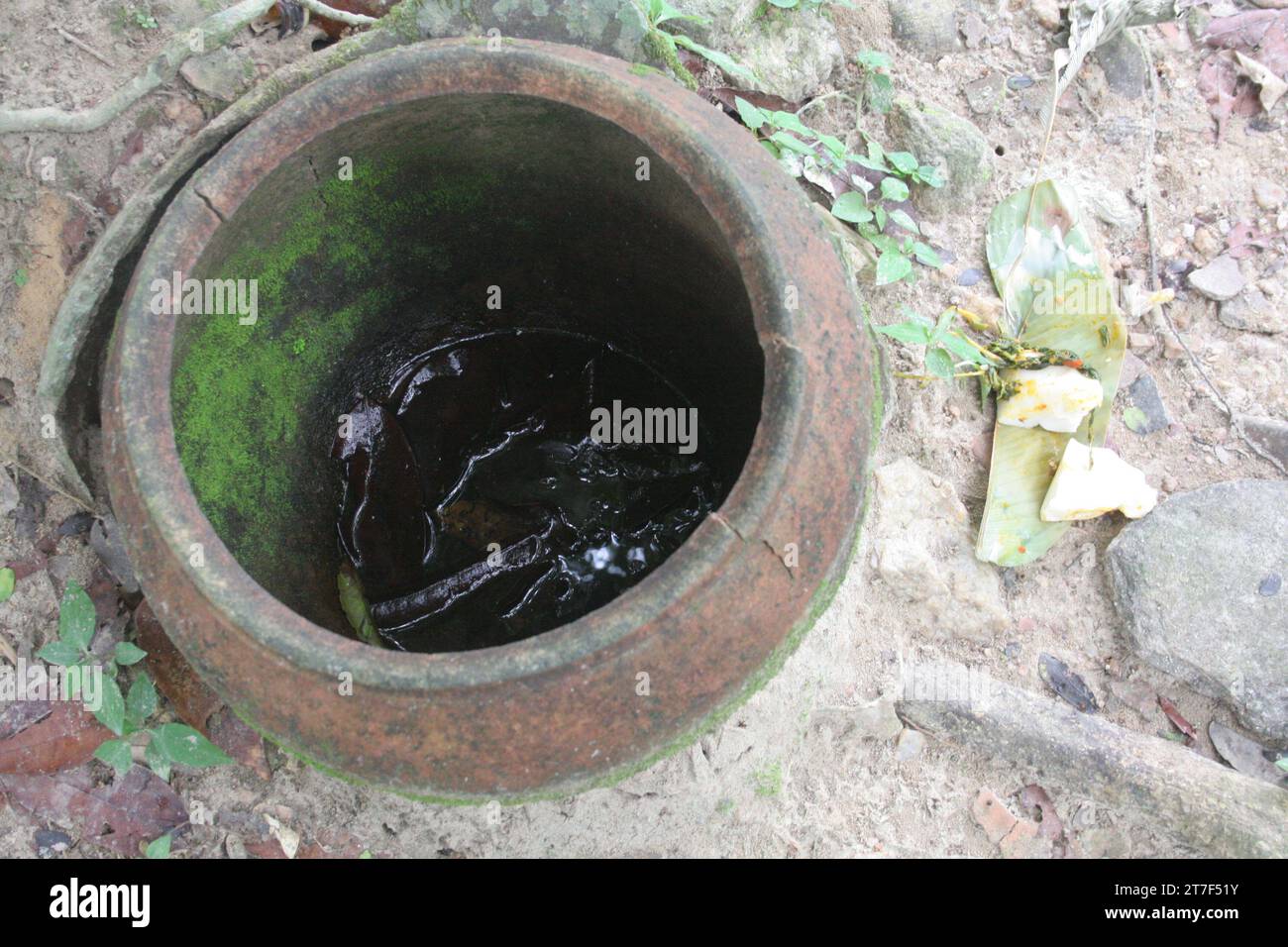 The Osun Grove in Oshogbo, Osun State. South West Nigeria Stock Photo ...