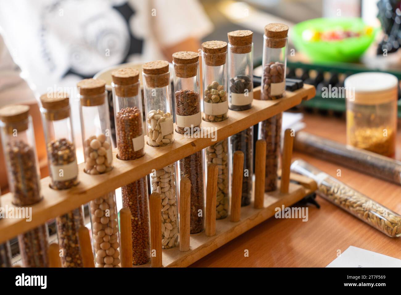 Different seeds in sealed test tubes Stock Photo - Alamy