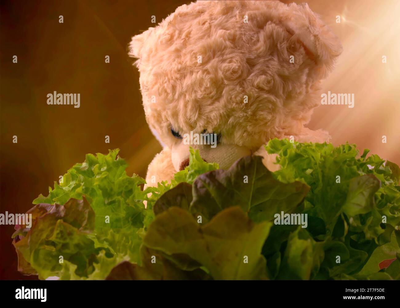 Teddy bear discovers the green salad, close up image Stock Photo - Alamy