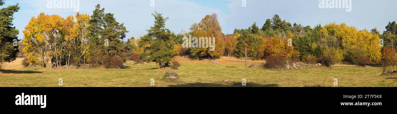 Panorama aspen hi-res stock photography and images - Alamy