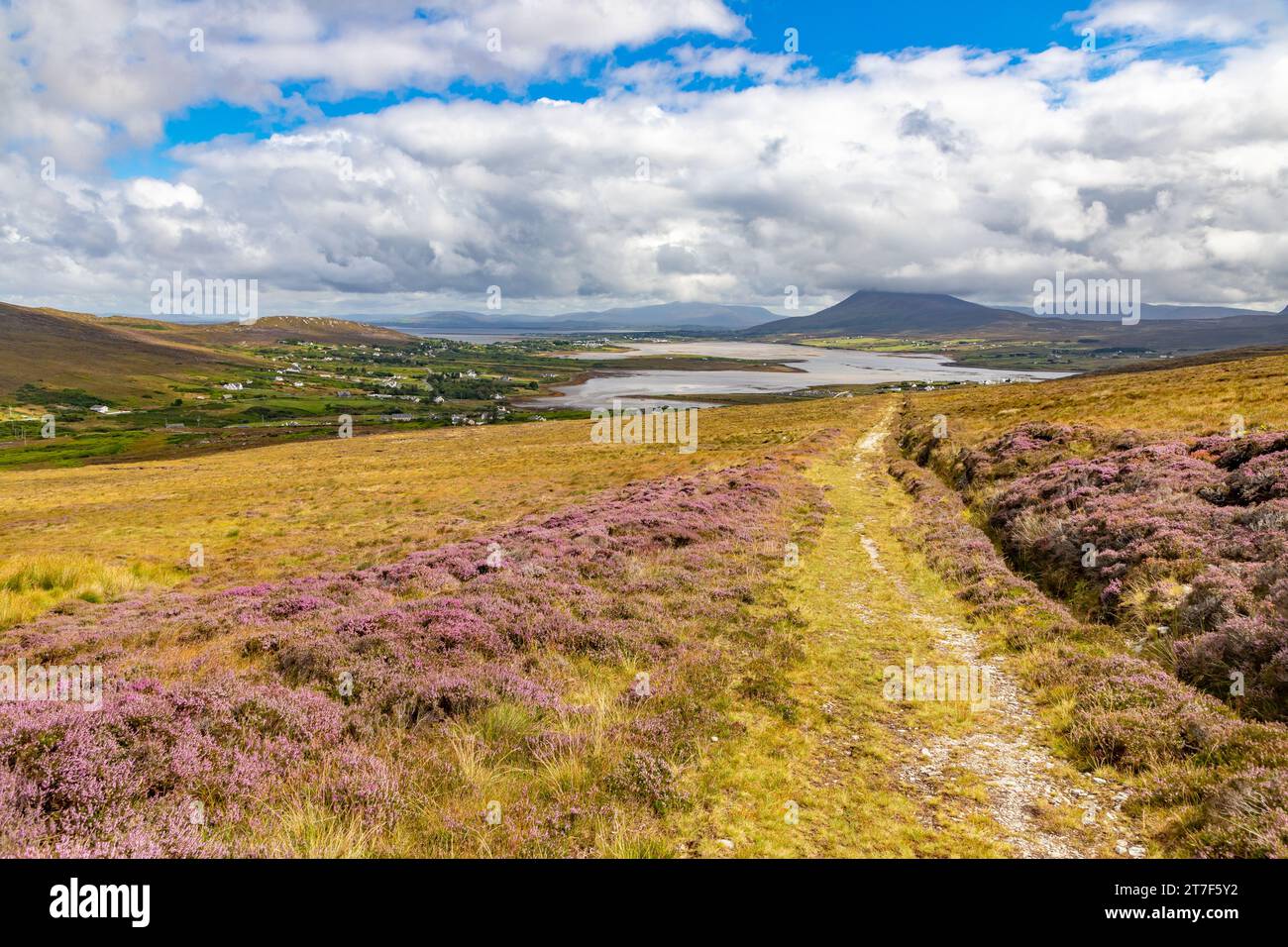 Granuaile Loop Walk Trail, Achill island, Mayo, Ireland Stock Photo - Alamy