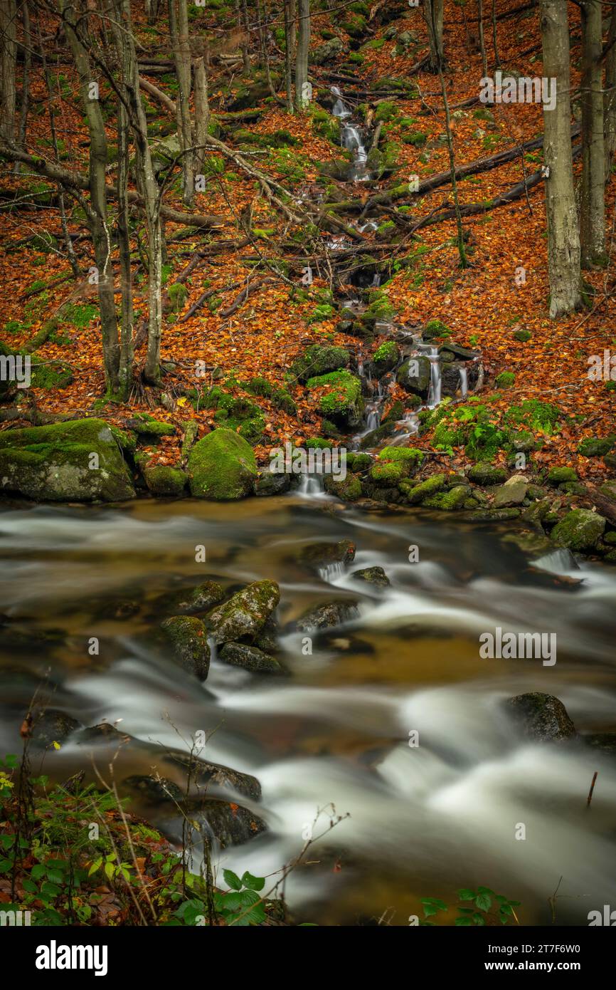 Small creek from hillside near Ponikly waterfall after night rain in ...