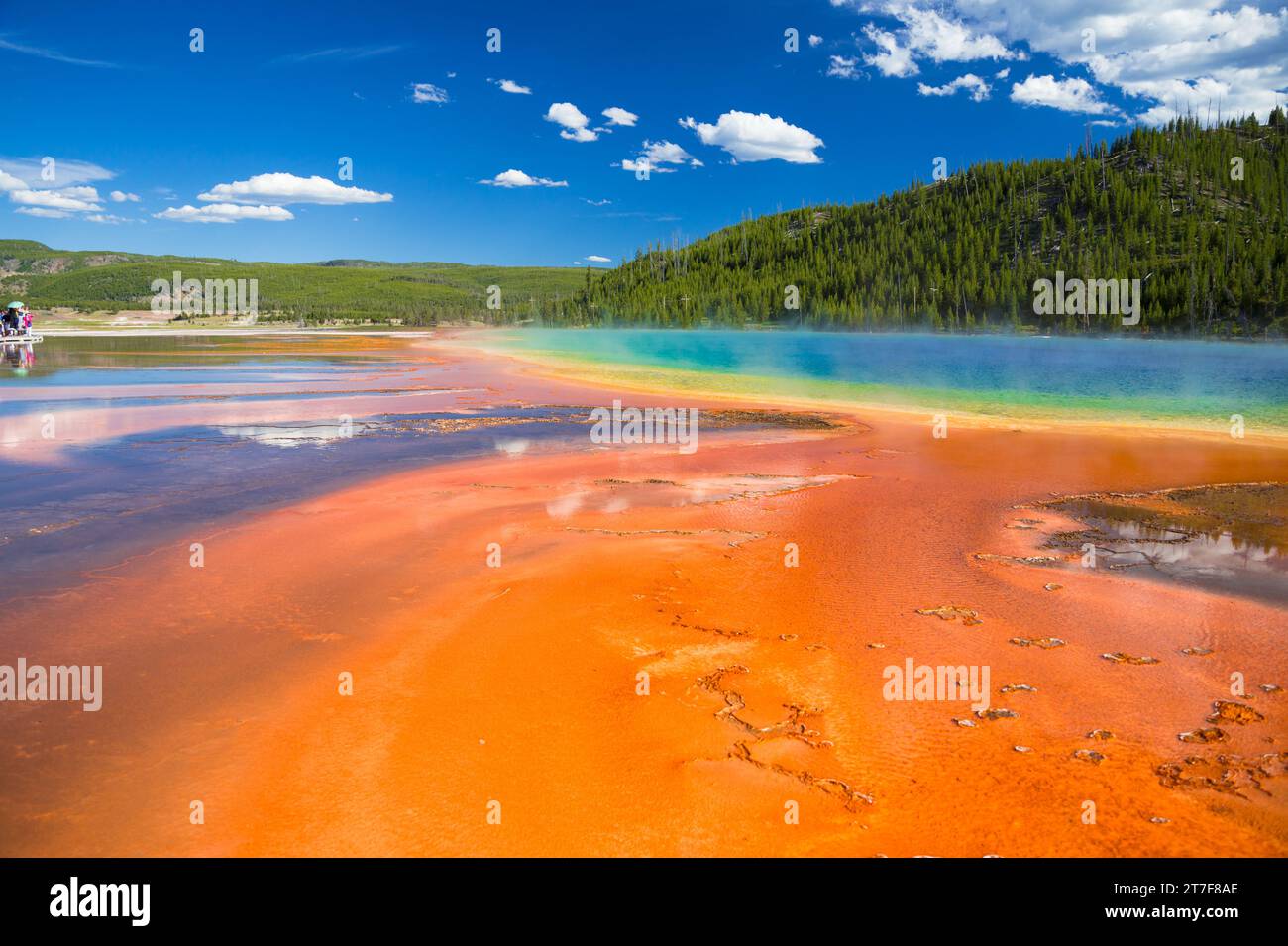 Eye level view of Grand Prismatic Spring in Yellowstone National Park ...