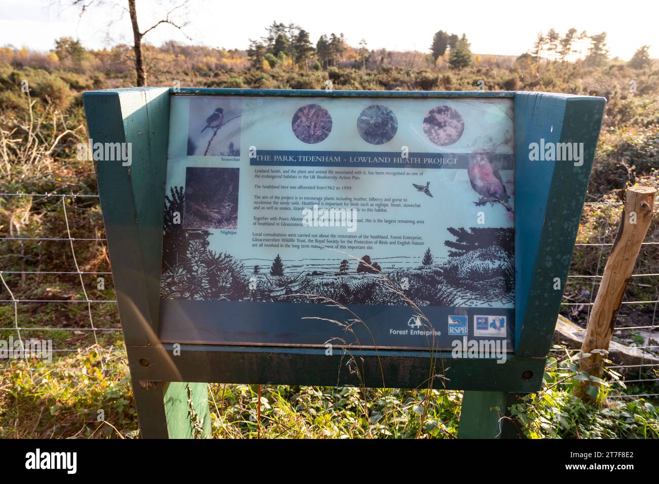 Information board at The Park, a Forestry England nature reserve in the ...