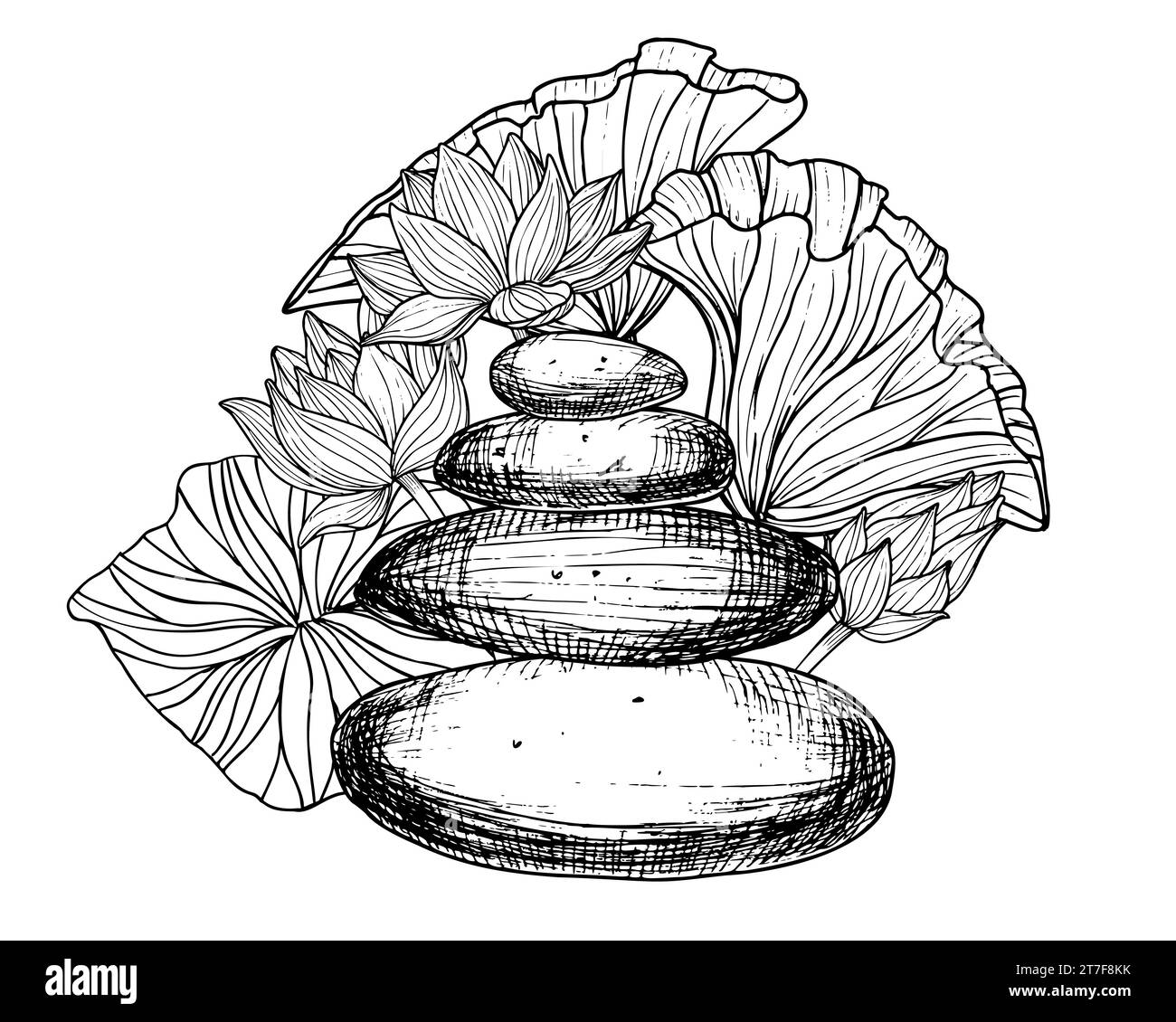 Stones lotus flower on Black and White Stock Photos & Images - Alamy