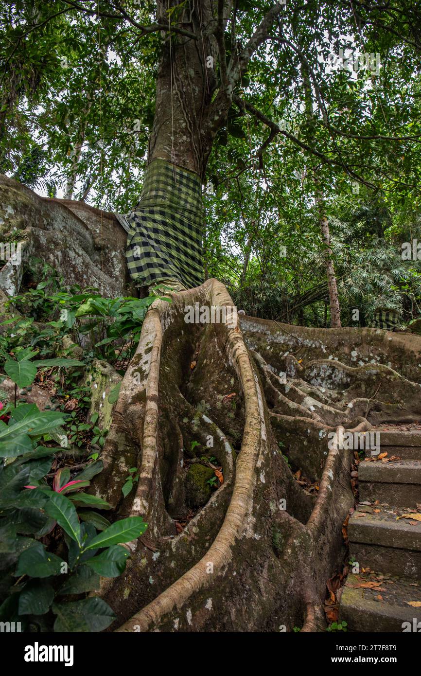 Goa Gajah - Elephant Cave. This park-like temple complex offers a ...