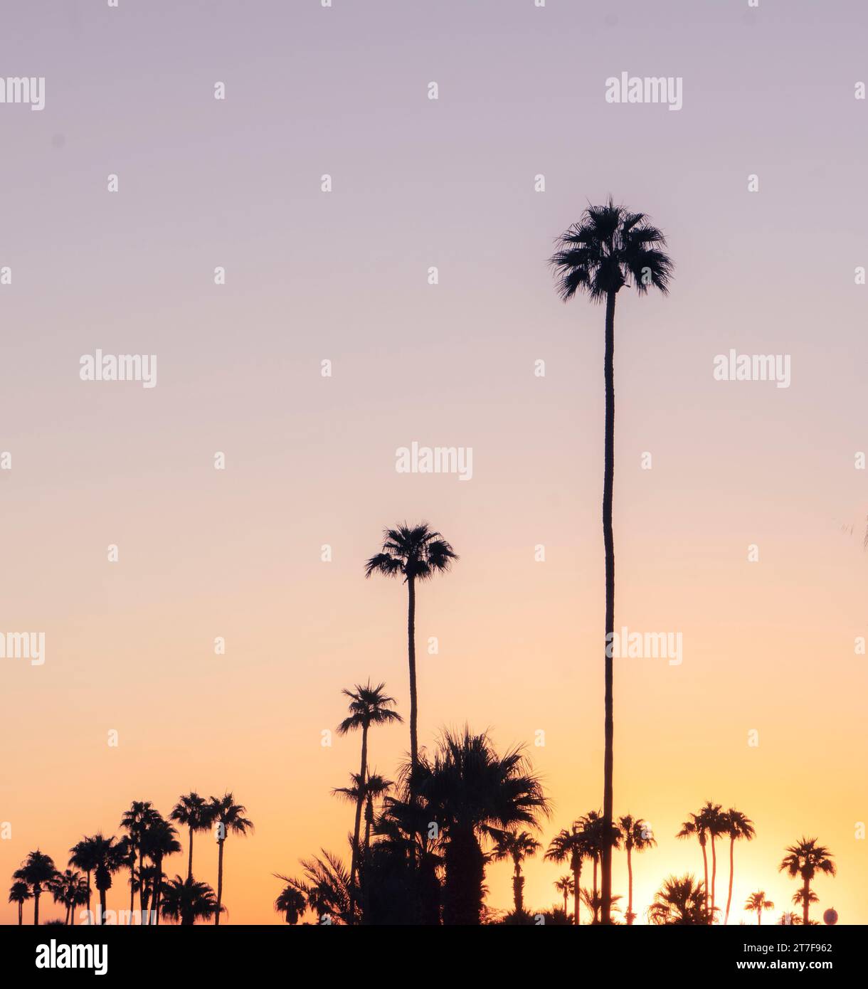 Palm springs sunrise hi-res stock photography and images - Alamy