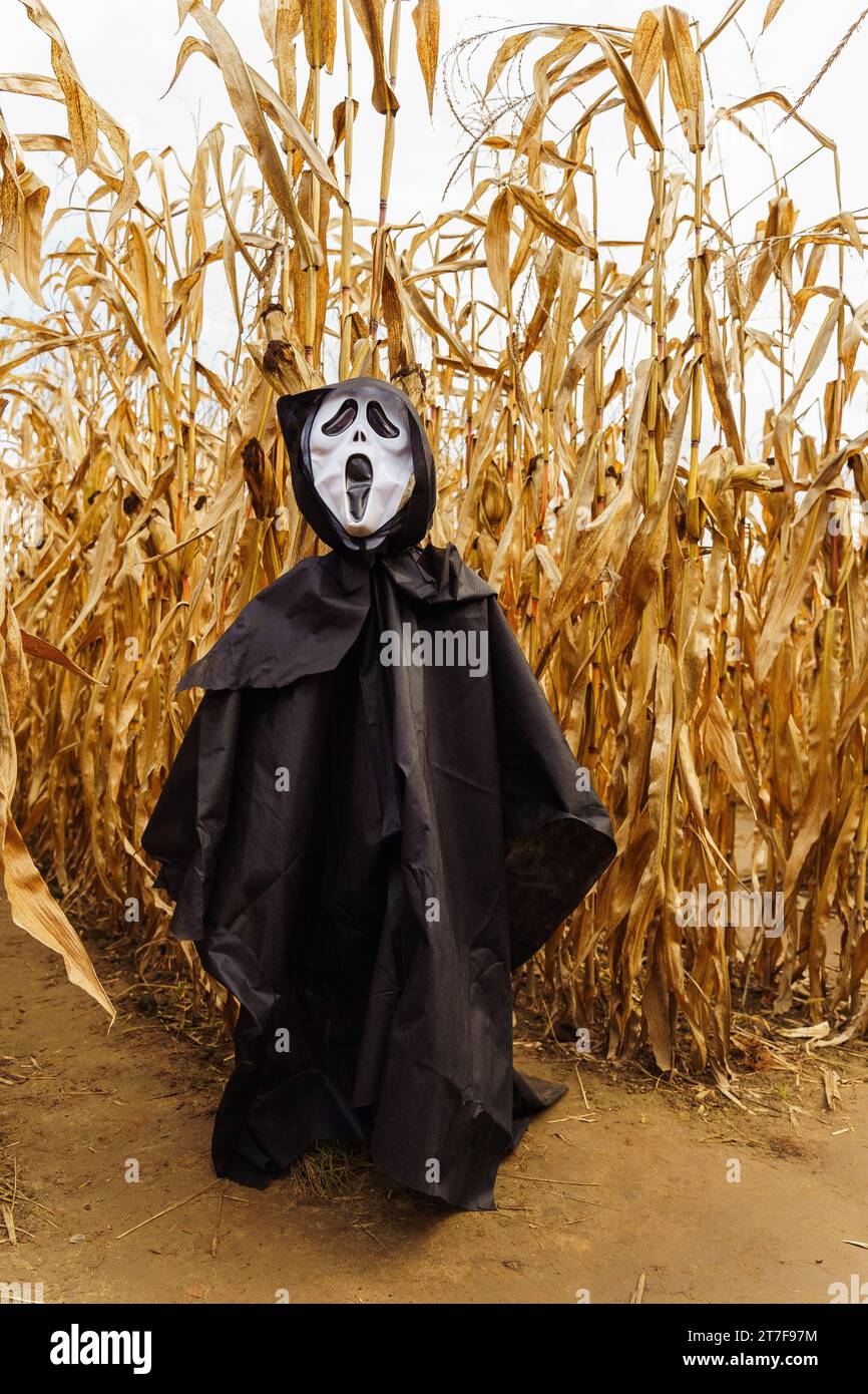 Scarecrow figure in black cloak and death mask in the middle of a ...