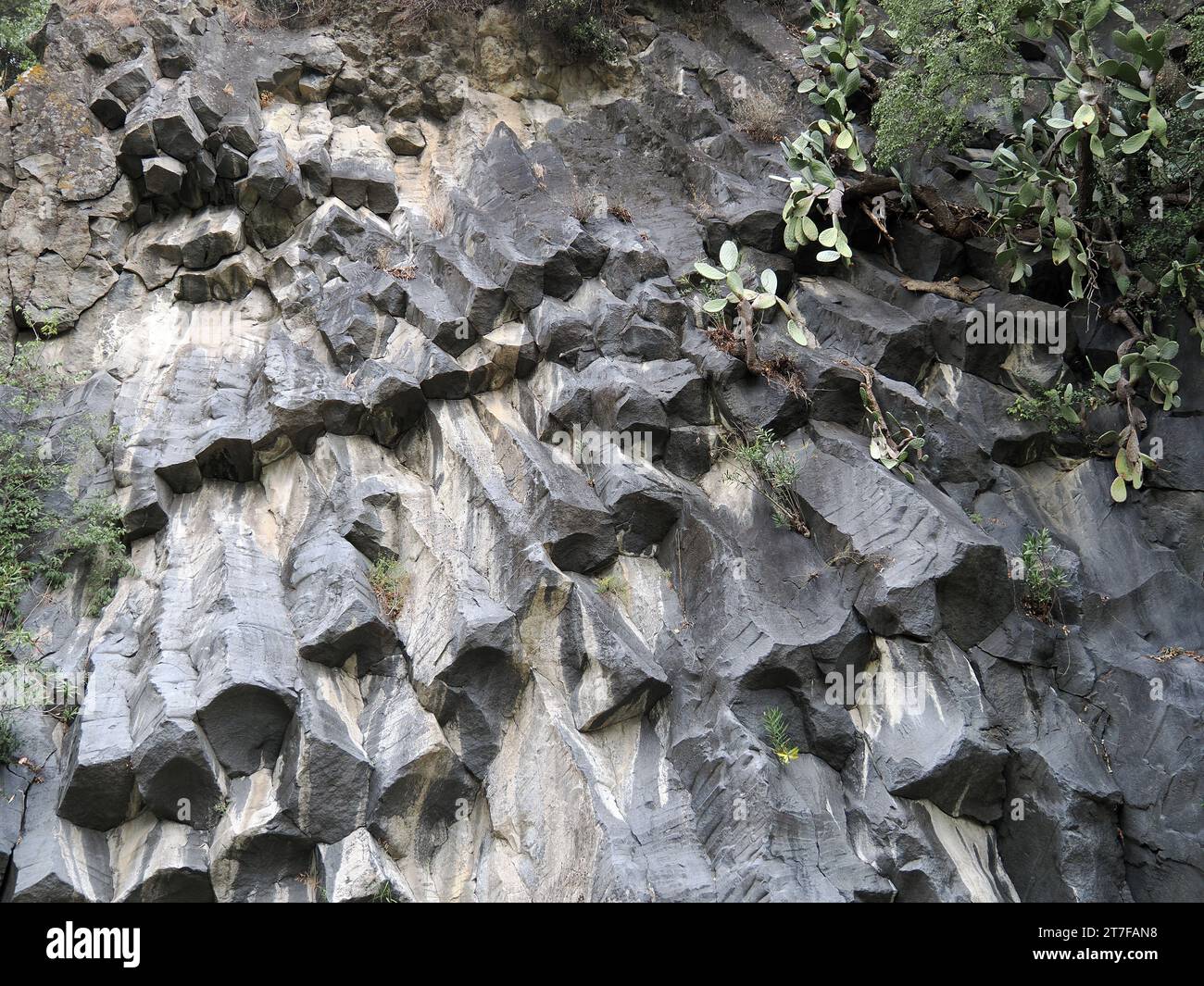 basalt columns, Alcantara Gorge, Gole dell'Alcantara, Alcantara ...