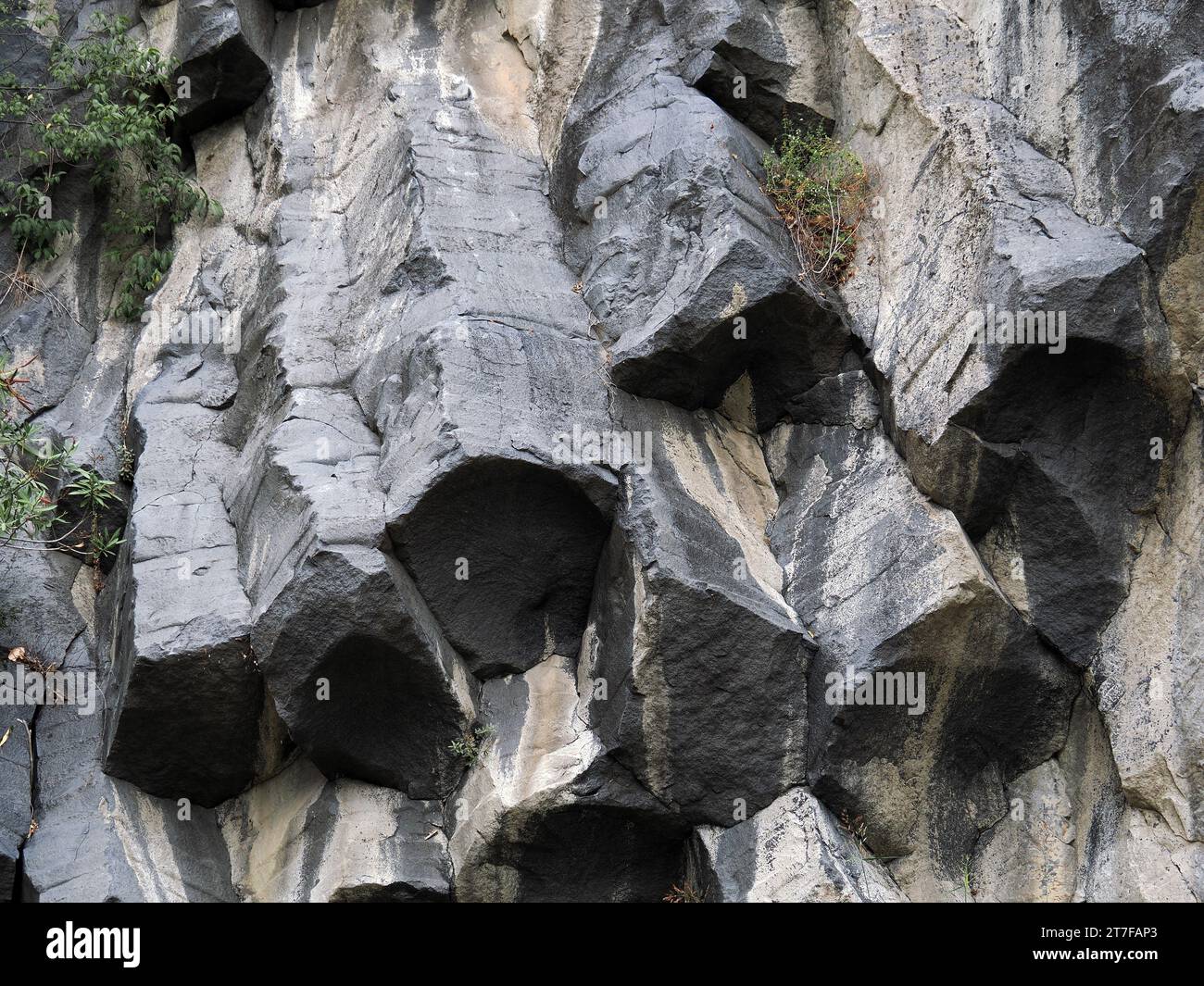 basalt columns, Alcantara Gorge, Gole dell'Alcantara, Alcantara ...
