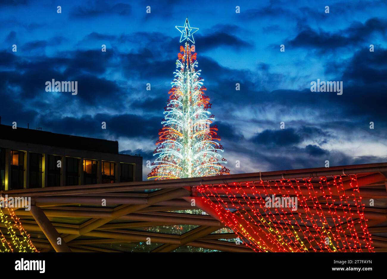 Christmas tree in Chavasse Park 2023 in Liverpool ONE Stock Photo - Alamy