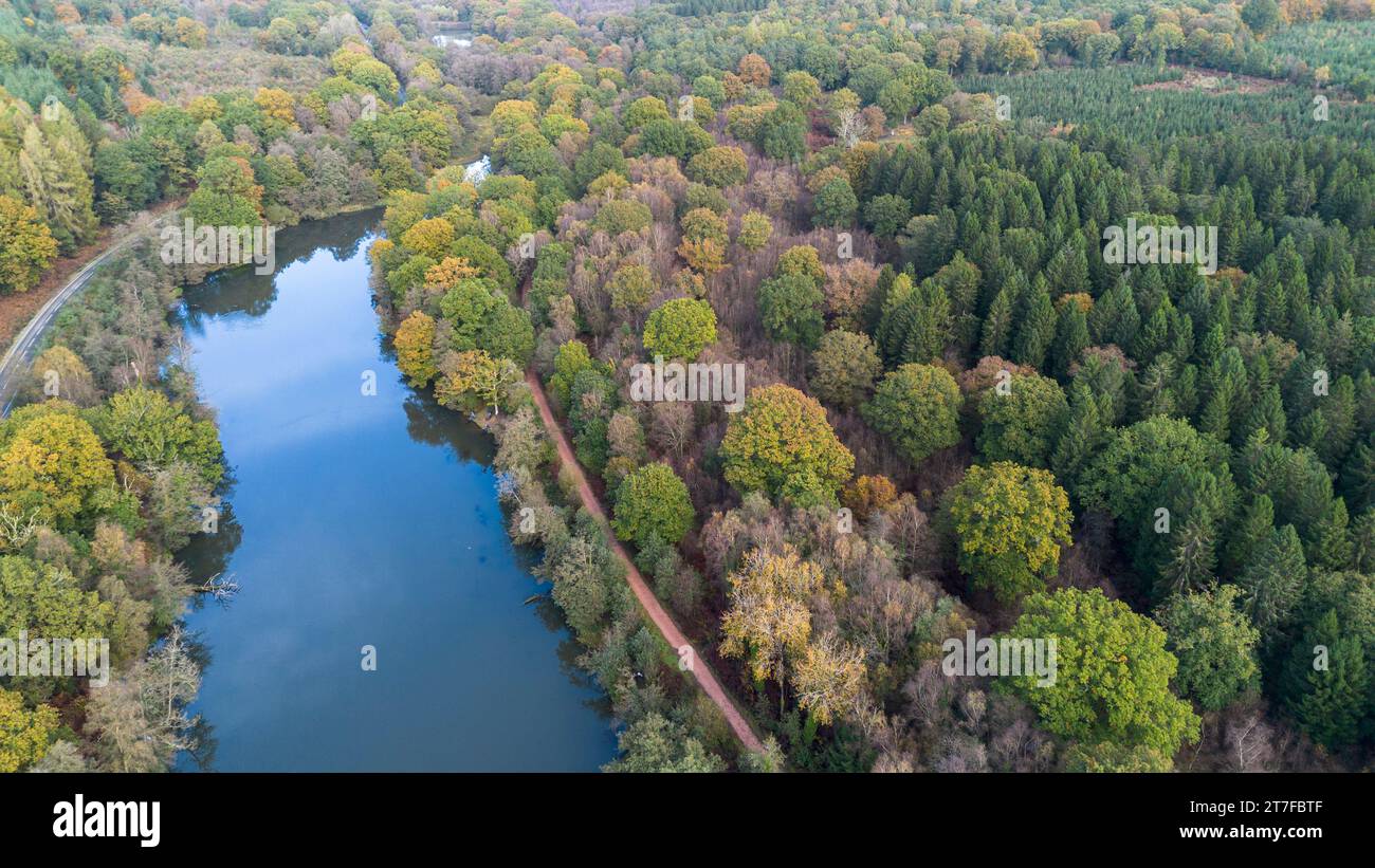 Cannop Ponds, Forest of Dean, Gloucestershire. UK. An old dam at this ...