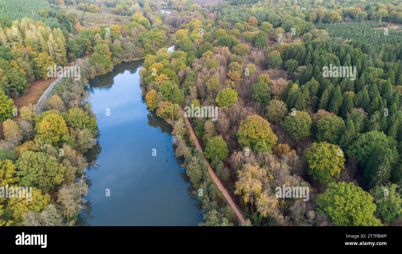 Cannop Ponds, Forest of Dean, Gloucestershire. UK. An old dam at this ...