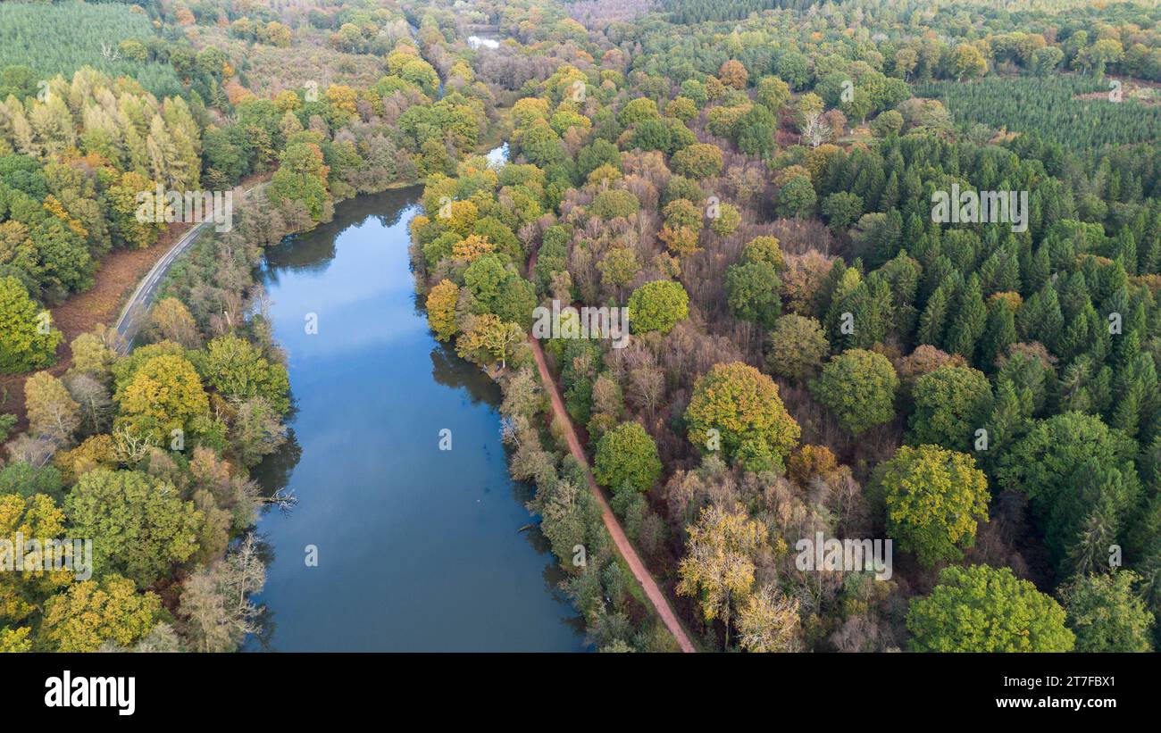 Cannop Ponds, Forest of Dean, Gloucestershire. UK. An old dam at this ...