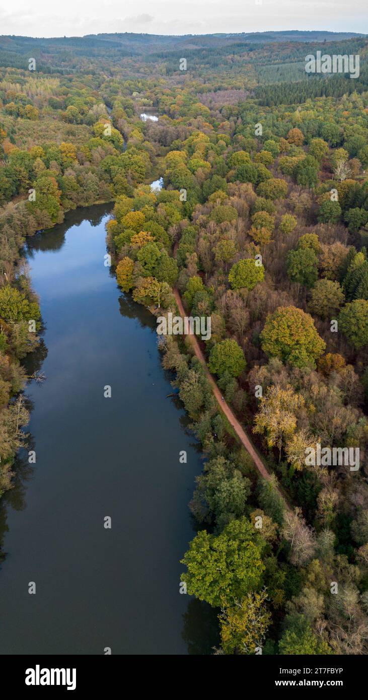 Cannop Ponds, Forest of Dean, Gloucestershire. UK. An old dam at this ...
