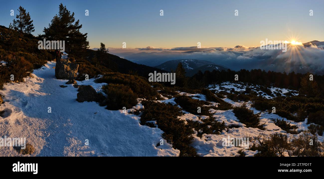 Scenic mountainous snowy terrain with trees at sunrise Stock Photo - Alamy