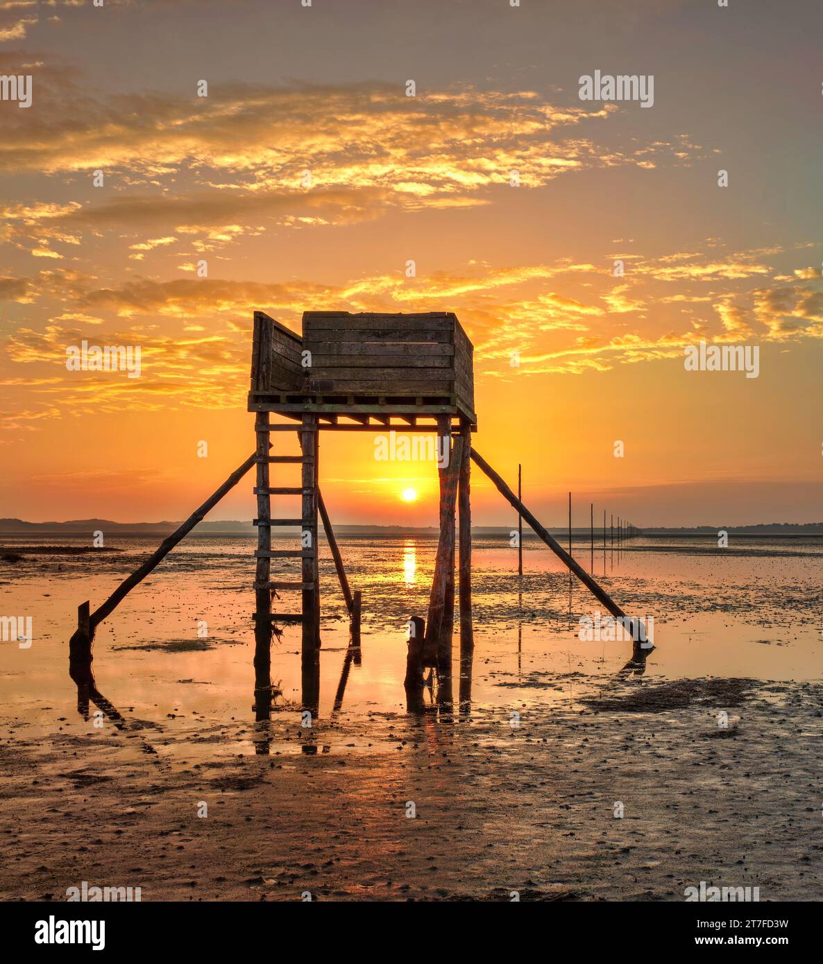 Sunrise on the Holy Island of Lindisfarne looking at the refuge hut on ...