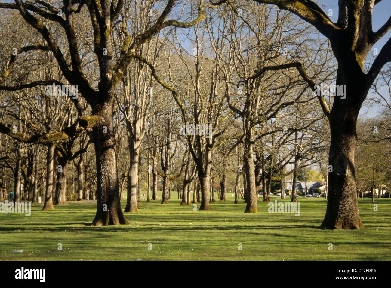 Oak grove park hi-res stock photography and images - Alamy