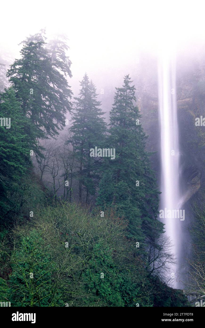 Multnomah Falls, Mt Hood National Forest, Columbia River Gorge National ...