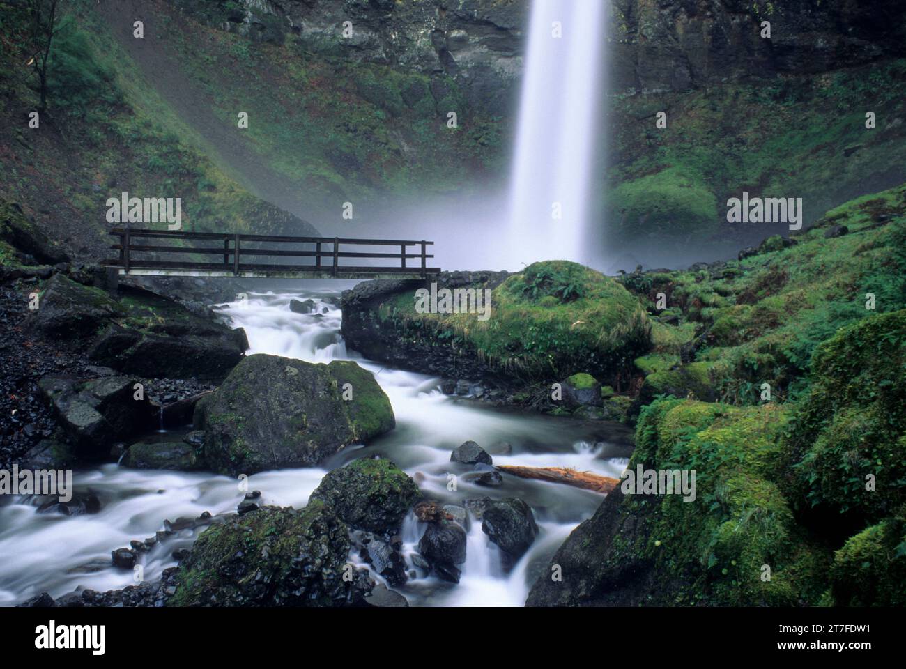 Elowah Falls, Yeon State Park, Columbia River Gorge National Scenic ...