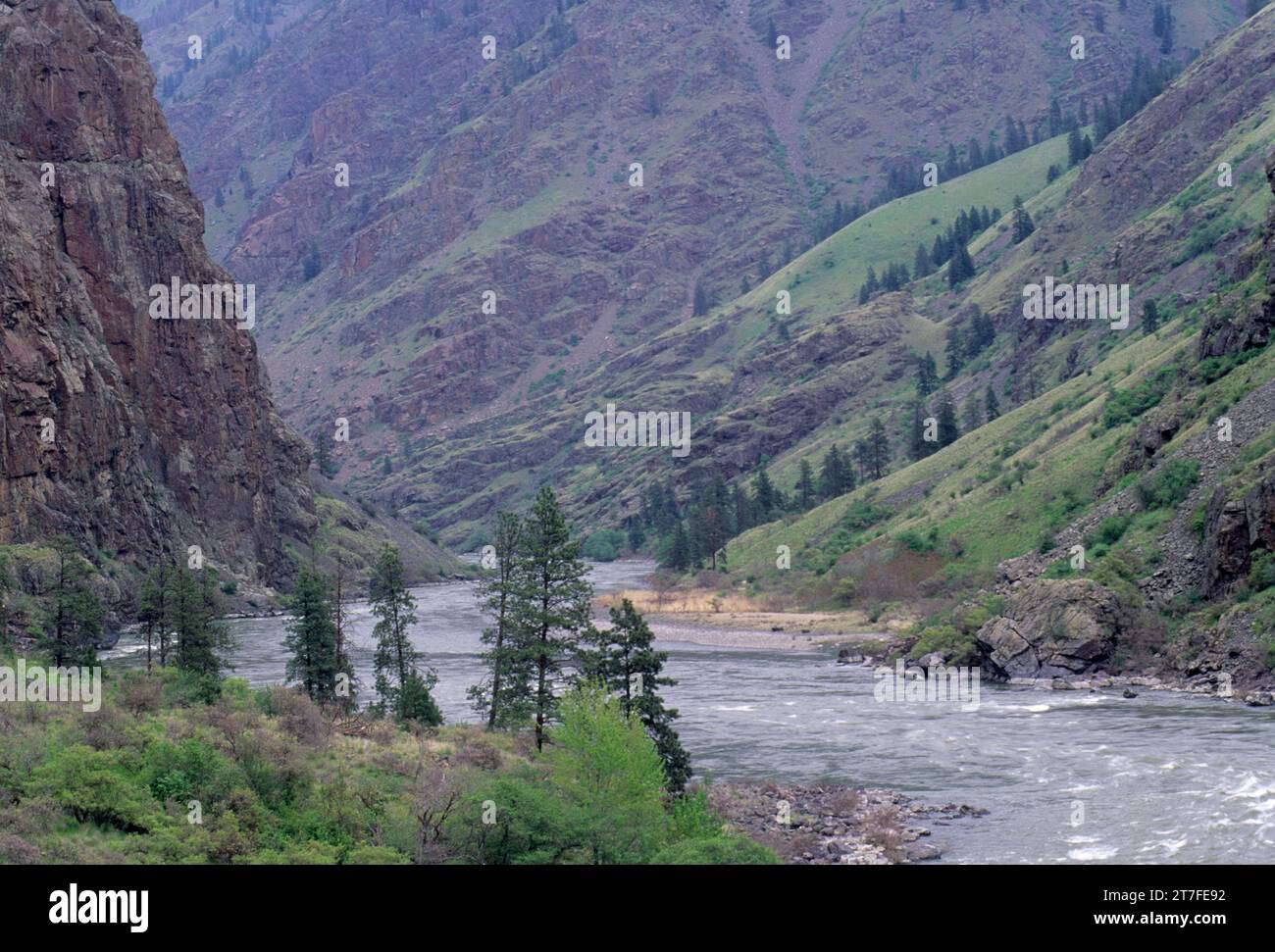 Snake River with cliff walls on Stud Creek Trail, Snake Wild and Scenic ...
