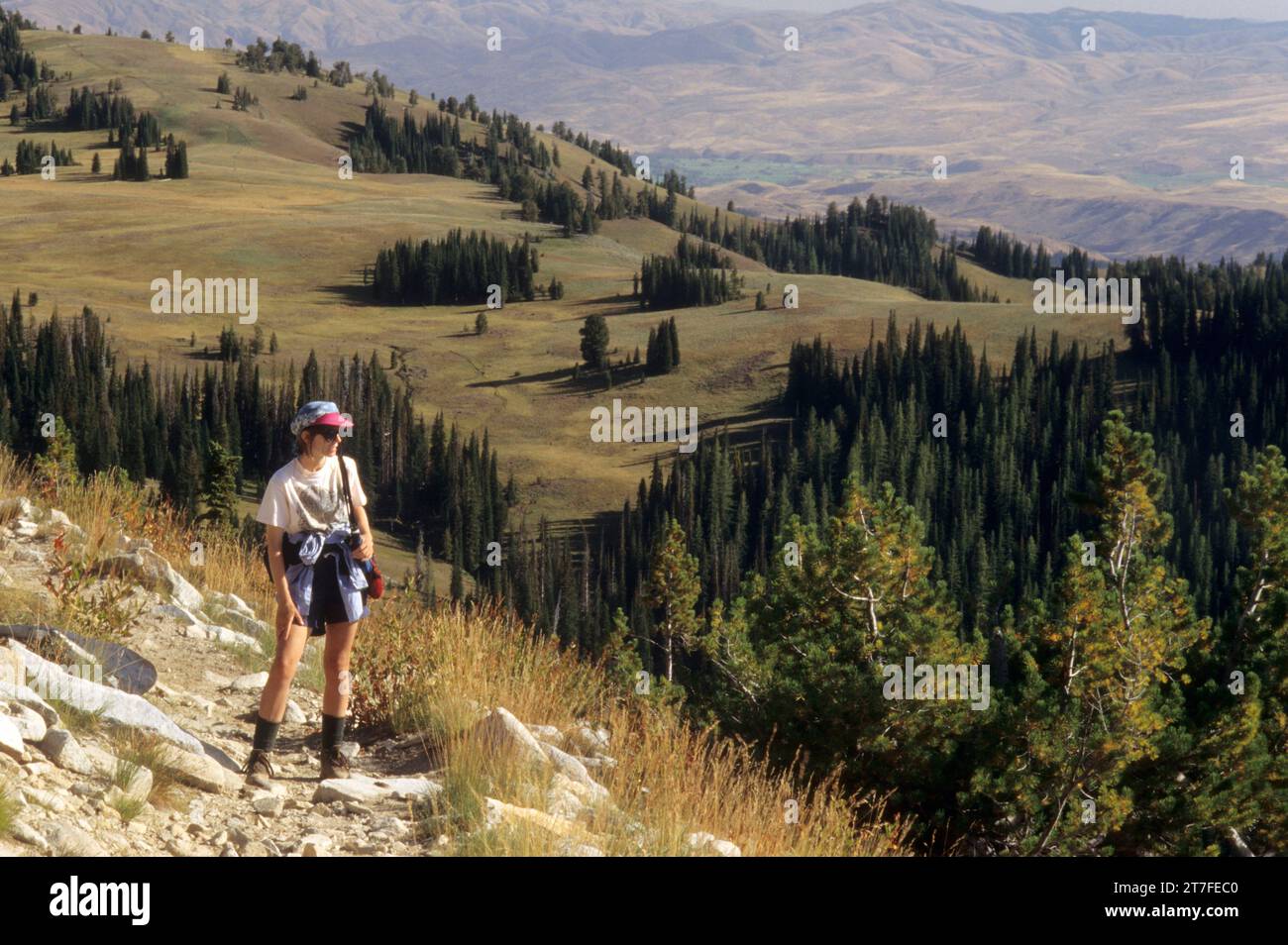 Little Eagle Meadows, Eagle Cap Wilderness, Wallowa-Whitman National ...