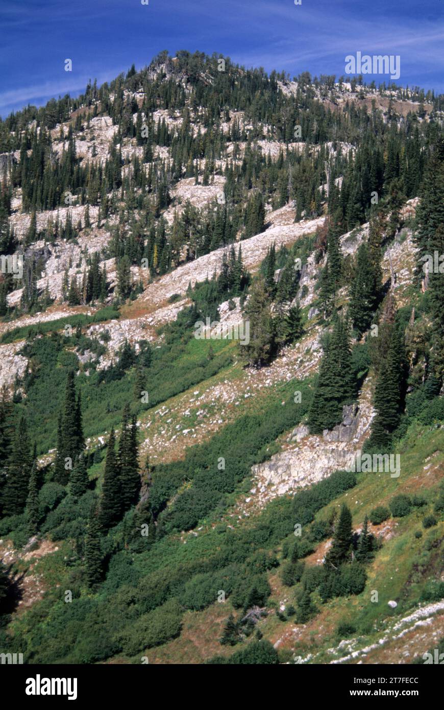 Ridge above West Eagle Creek, Eagle Cap Wilderness, Wallowa-Whitman ...