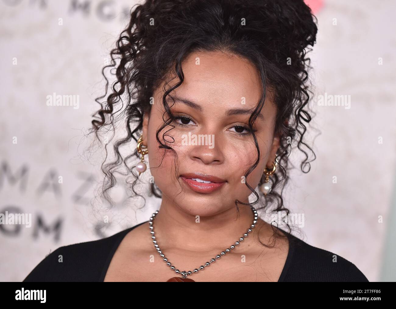 Los Angeles, USA. 14th Nov, 2013. Nesrin Danan arriving to the Los ...