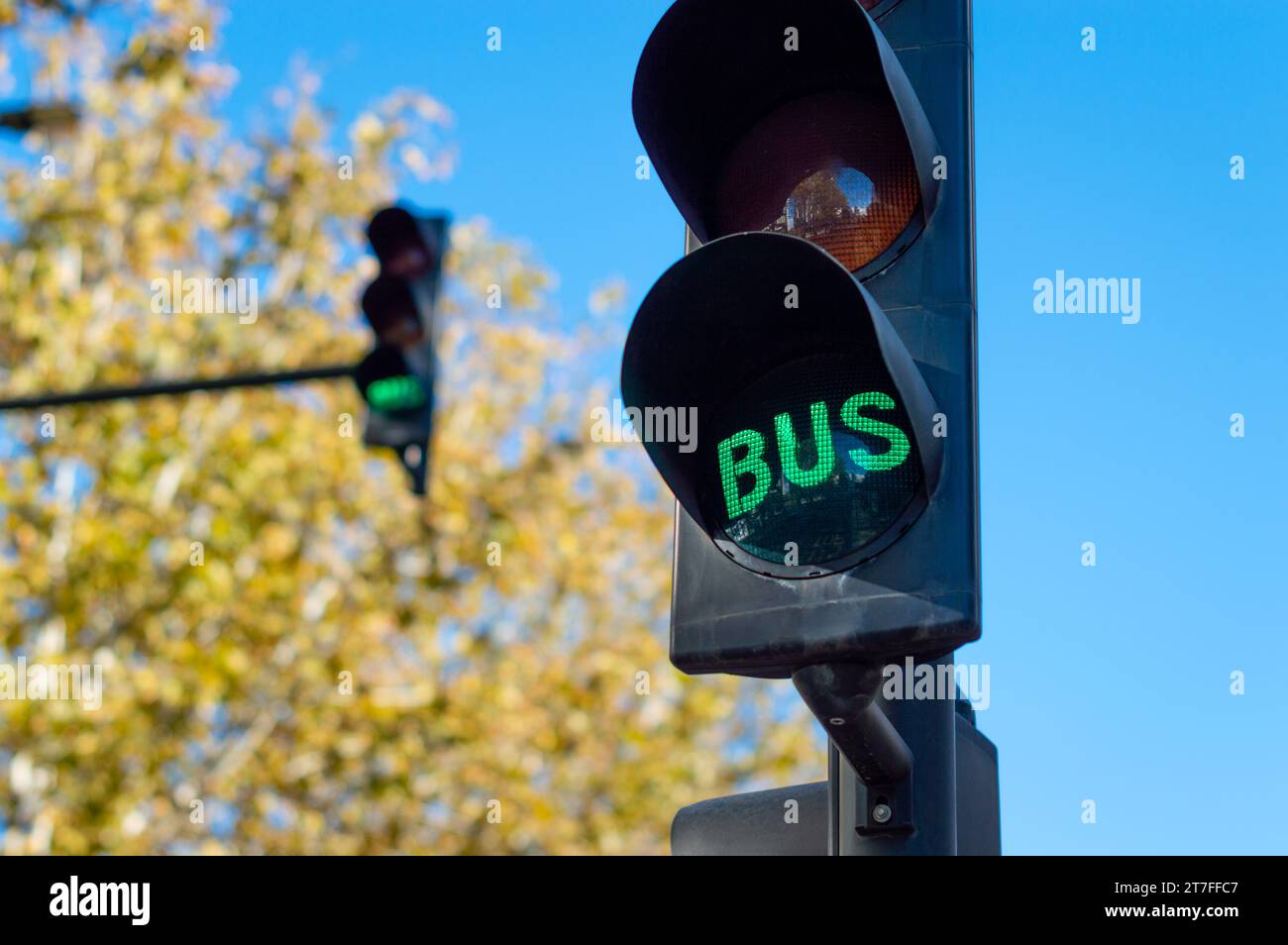 Traffic light with lit BUS text green light signal, on the green trees ...