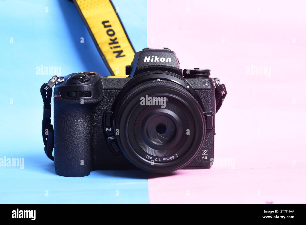 Nikon Z6 II version 2 camera photograph confrontation and competition ...