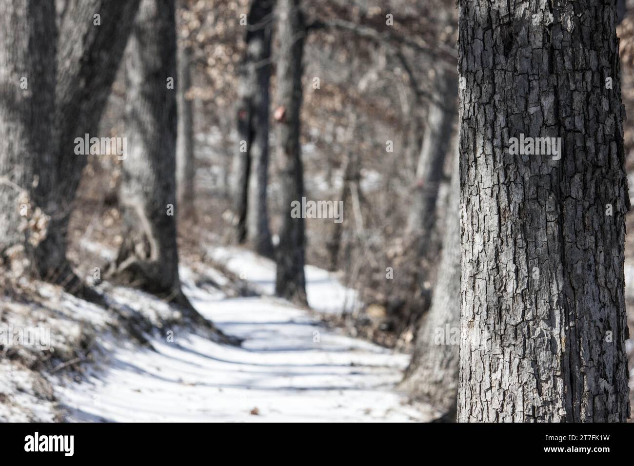Cool photos of things Stock Photo - Alamy