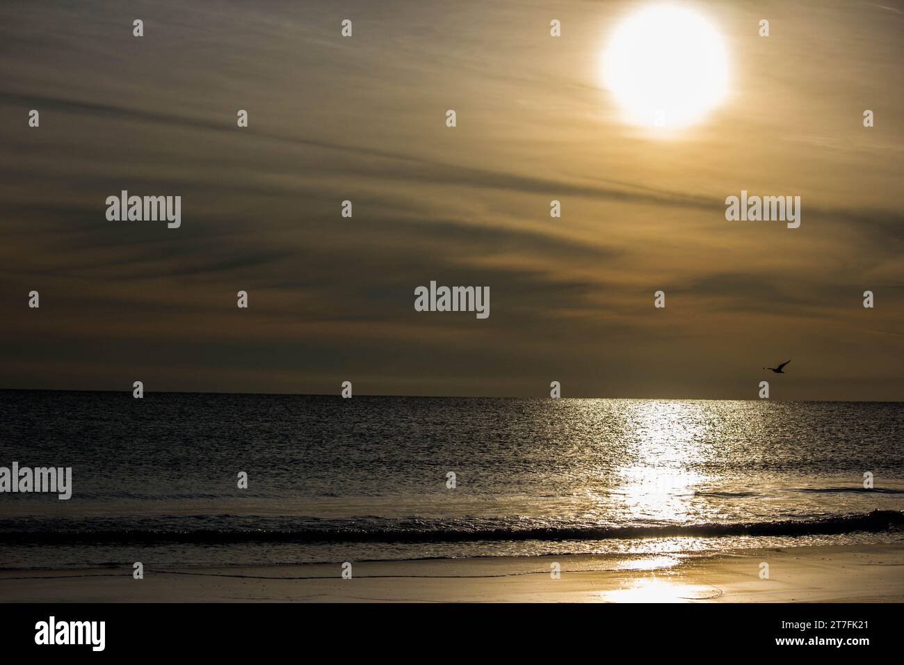 Cool photos of things Stock Photo - Alamy