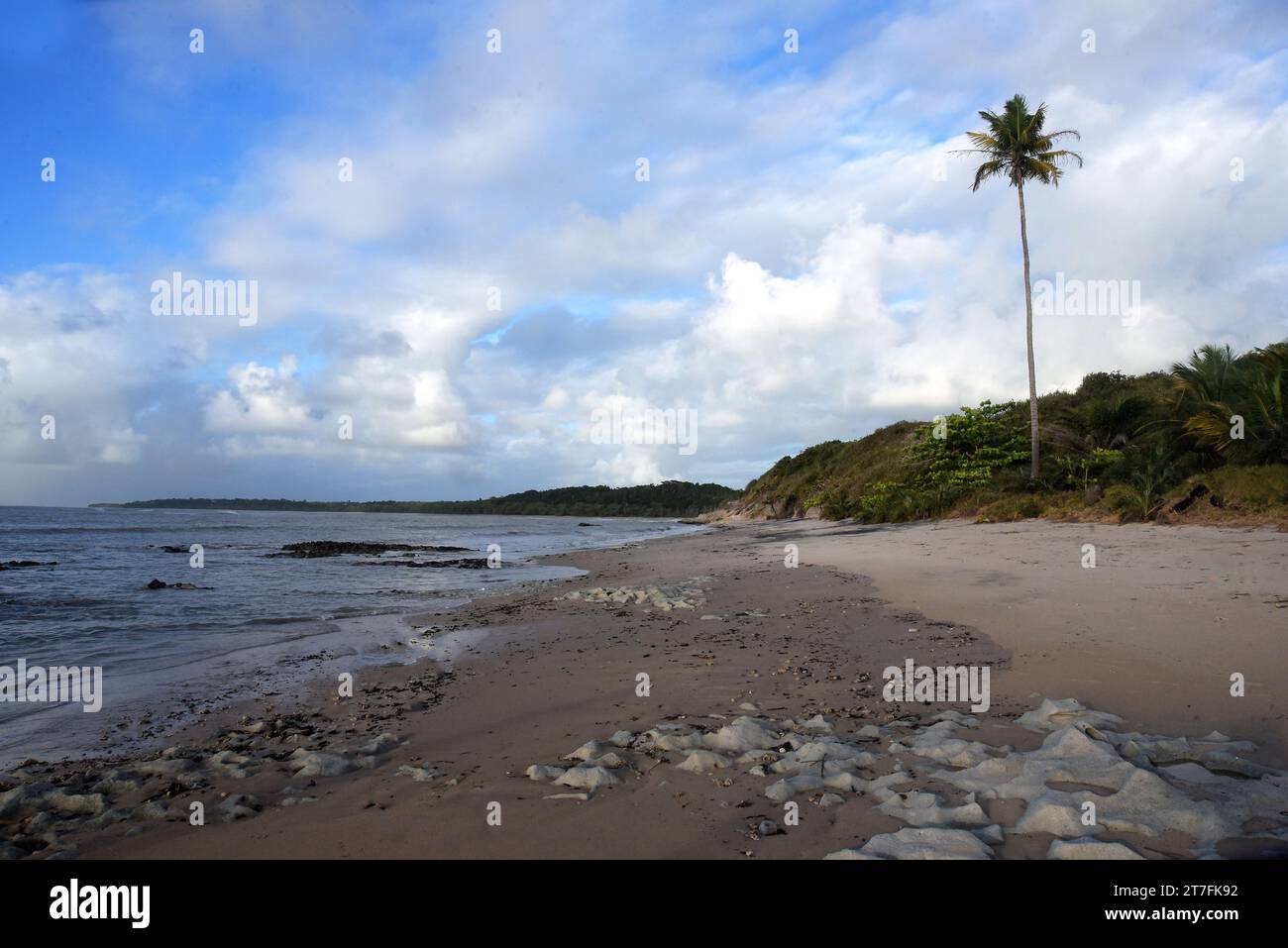 beach sea sunset ocean coastline Brazilian nature sea waves, dawn ...