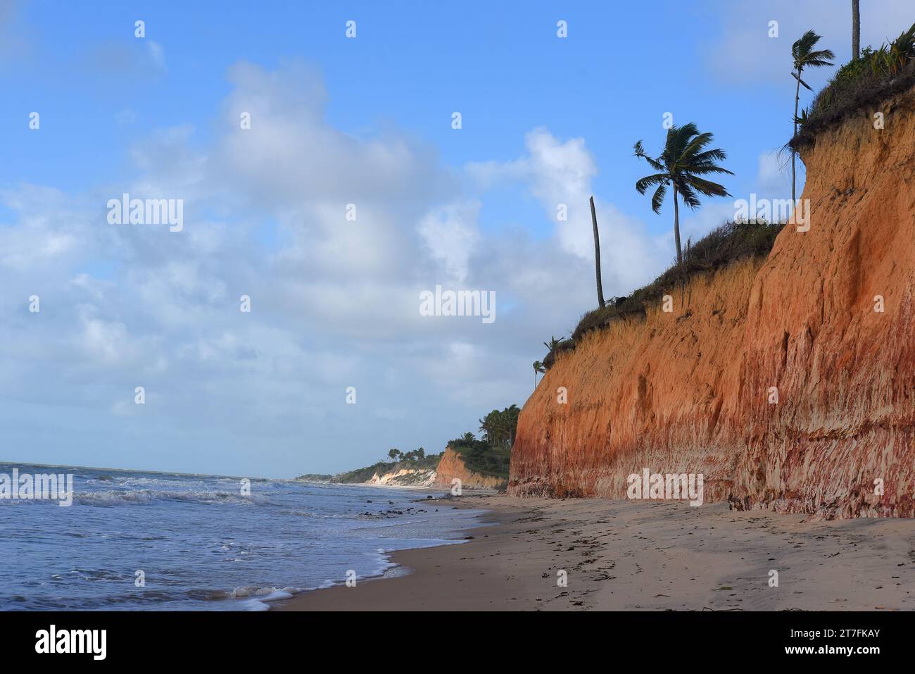 beach sea sunset ocean coastline Brazilian nature sea waves, dawn ...