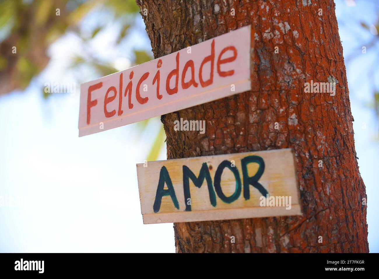 wooden signs written happiness love in Portuguese message good ... wooden signs written happiness love in Portuguese message good ...