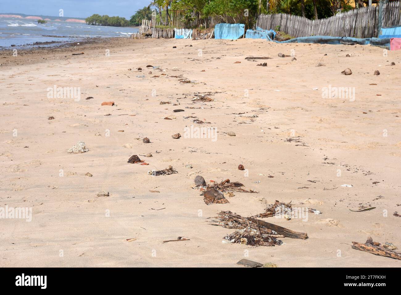 garbage thrown on the beach, sewage and dirt, bad care for nature ...