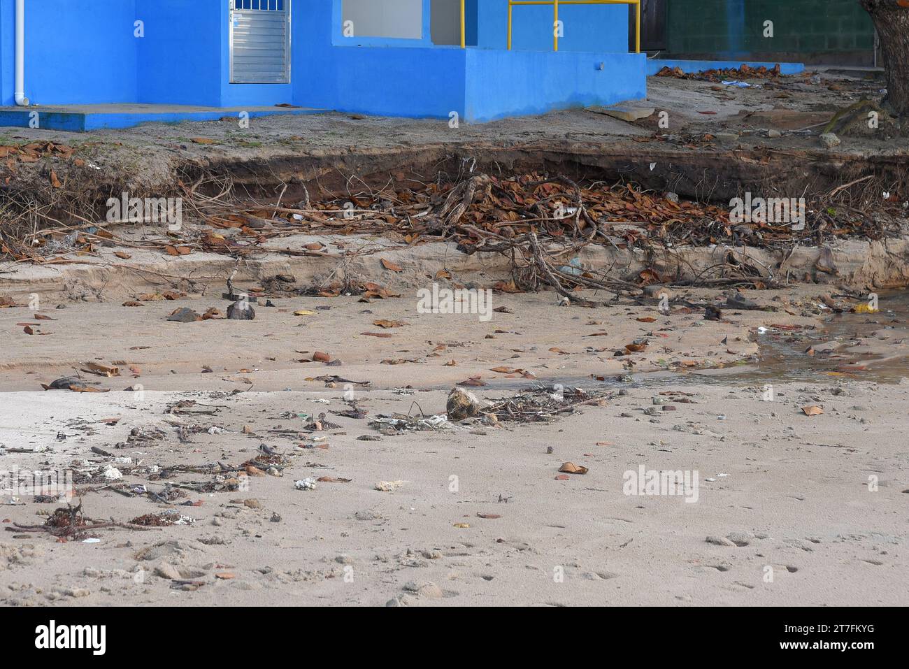 garbage thrown on the beach, sewage and dirt, bad care for nature ...