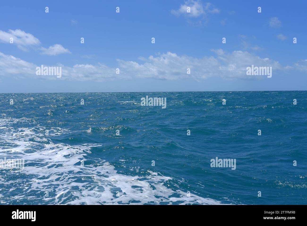 high seas , open ocean blue water whale coast cel azum calm fish ...