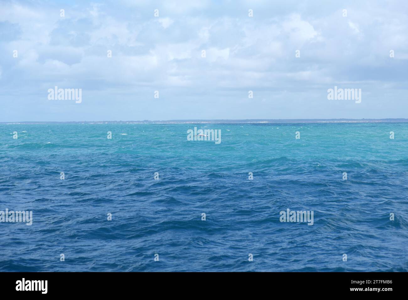 high seas , open ocean blue water whale coast cel azum calm fish ...