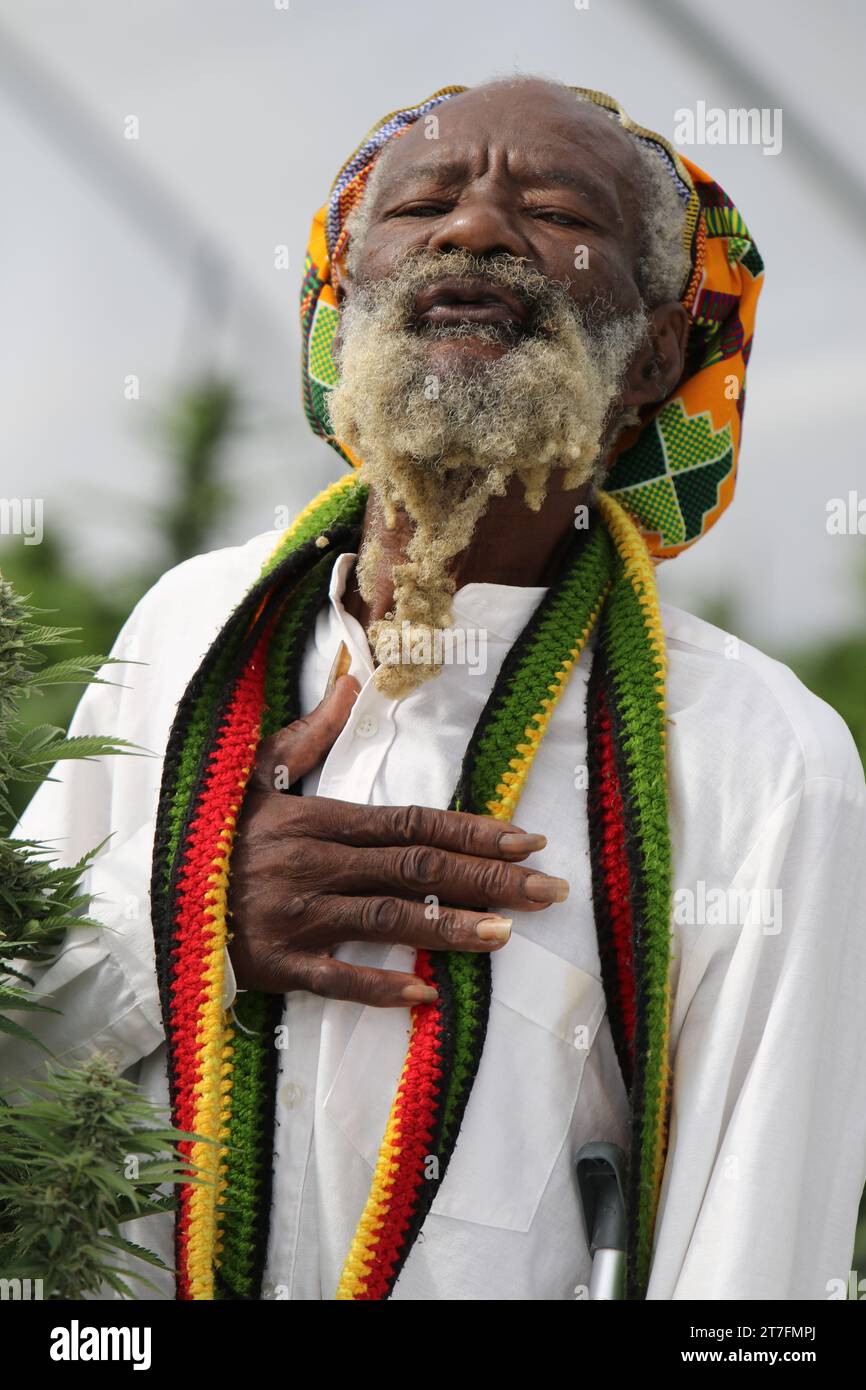 An elderly African American male standing in front of a cultivated ...