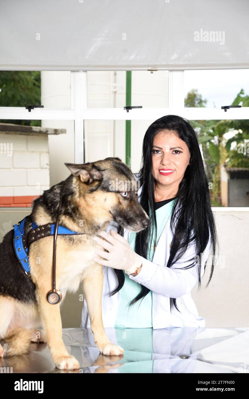 health veterinary doctor doing clinical analysis laboratory research ...