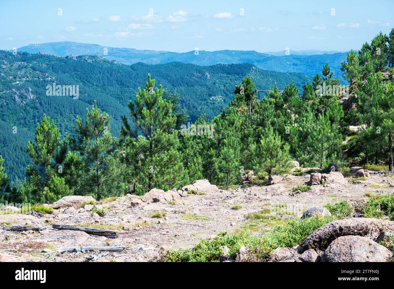 Trilho da silha dos ursos hi-res stock photography and images - Alamy