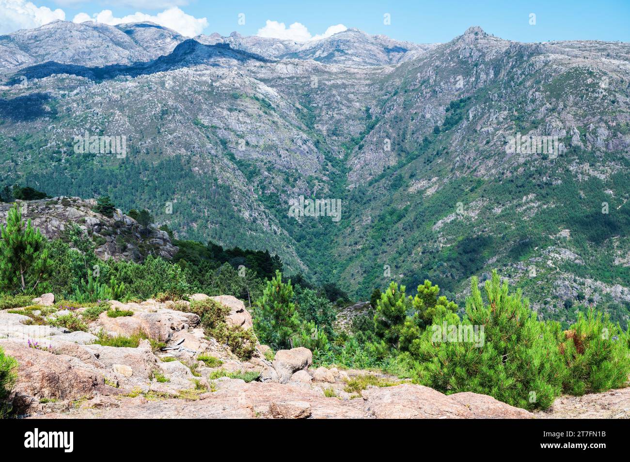 Trilho da silha dos ursos hi-res stock photography and images - Alamy