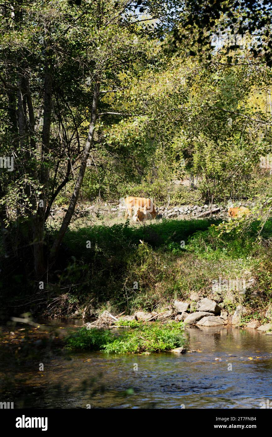 Mountain landscapes in Montemayor del Rio, Salamanca, Spain Stock Photo ...