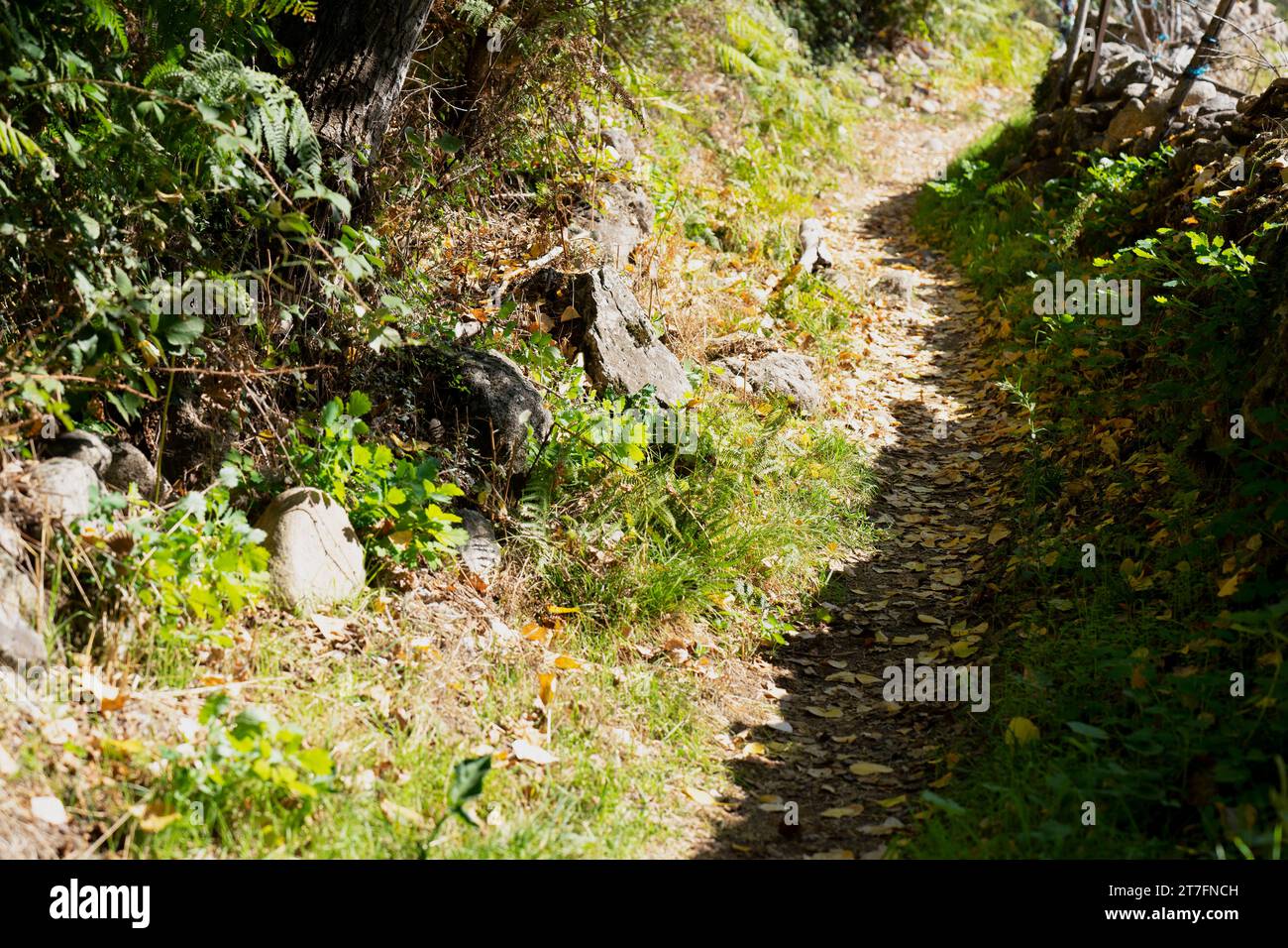Mountain landscapes in Montemayor del Rio, Salamanca, Spain Stock Photo ...