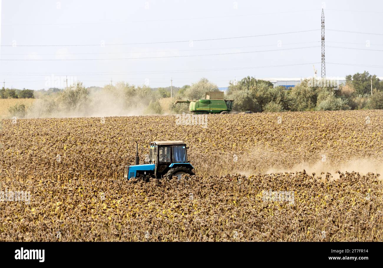 Agricultural combine harvests dry sunflower hi-res stock photography ...